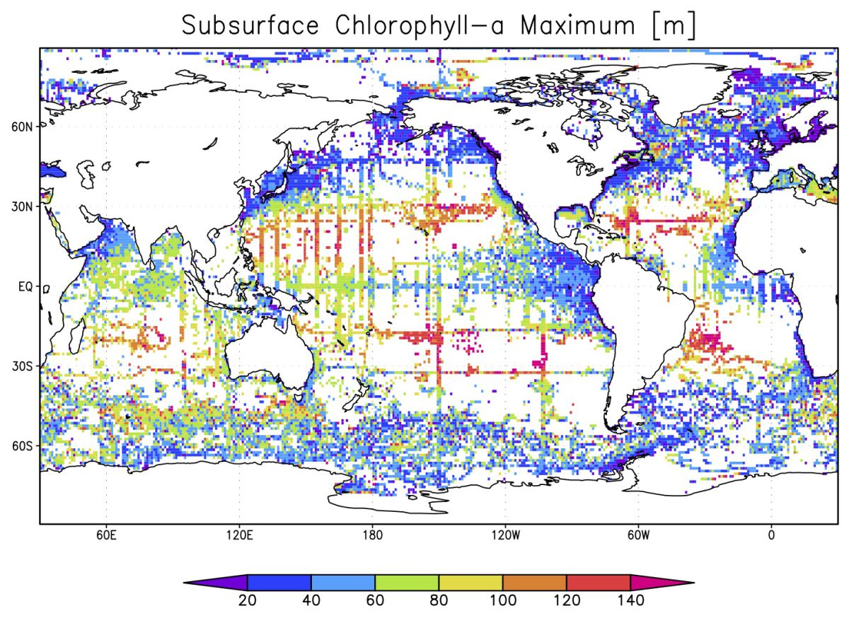 Subsurface Chlorophyll Maximum – Ocean Environmental Research Division ...